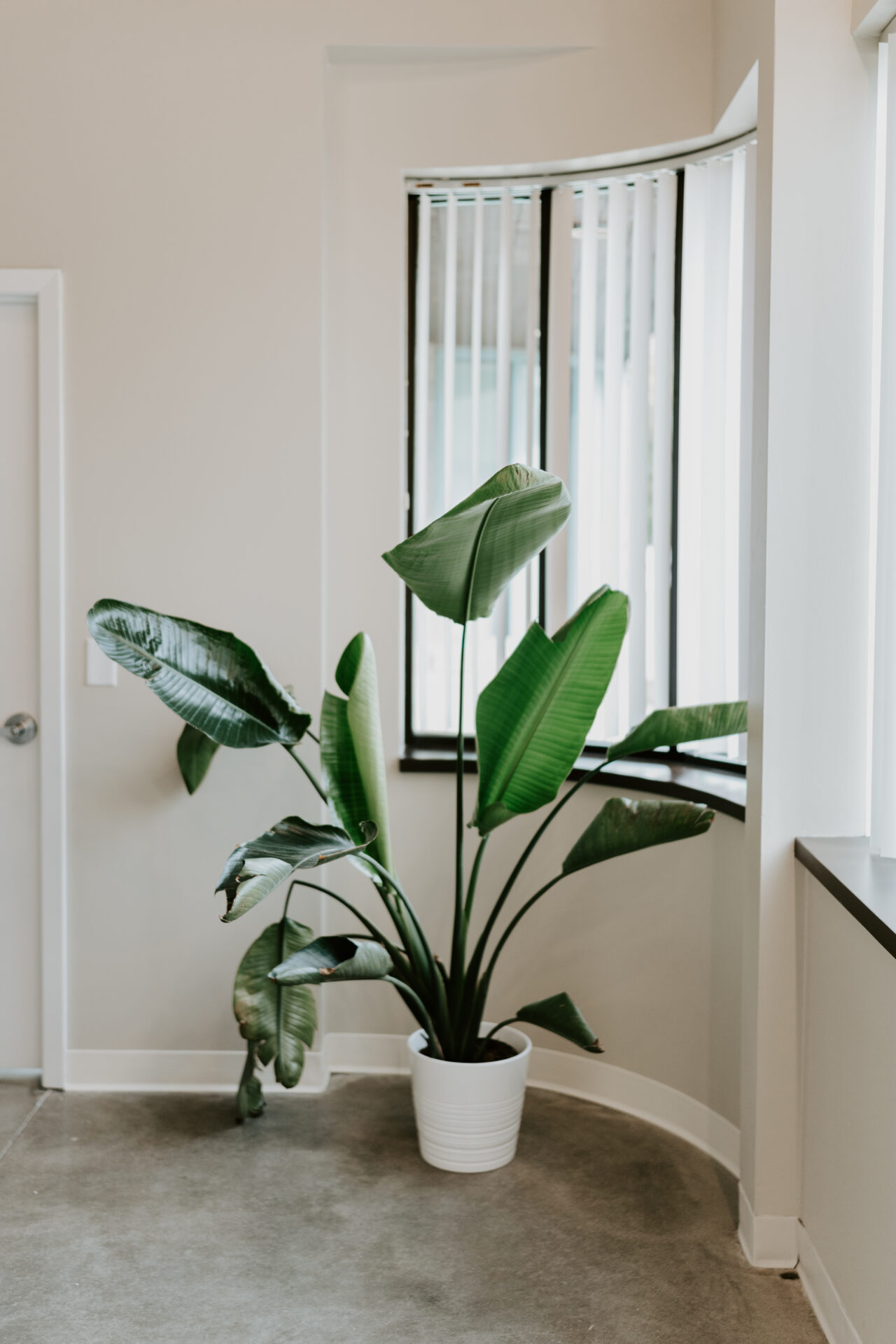 Emerge Therapy | Saint Louis Park/ Minneapolis West | EMERGE